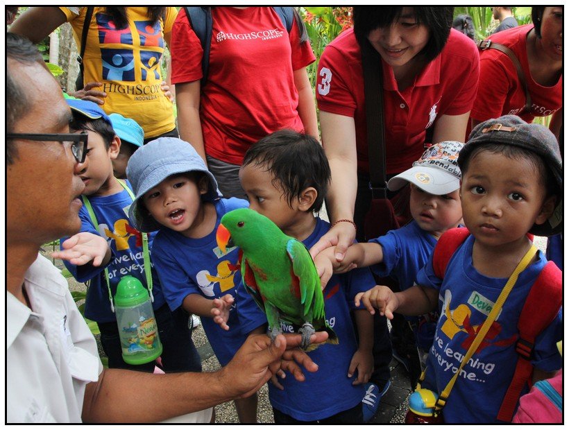 Highscope Bali dari Keunggulan dan Biaya TK SD SMP - Panduan Terbaik